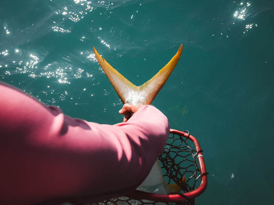 Nám Products | premium fly fishing gear & fly rods – Nam Products LLC