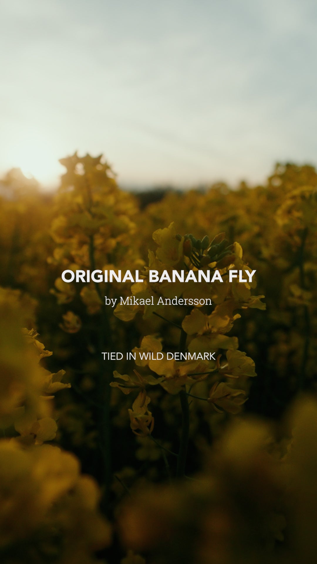 Videos – Nam Products LLC